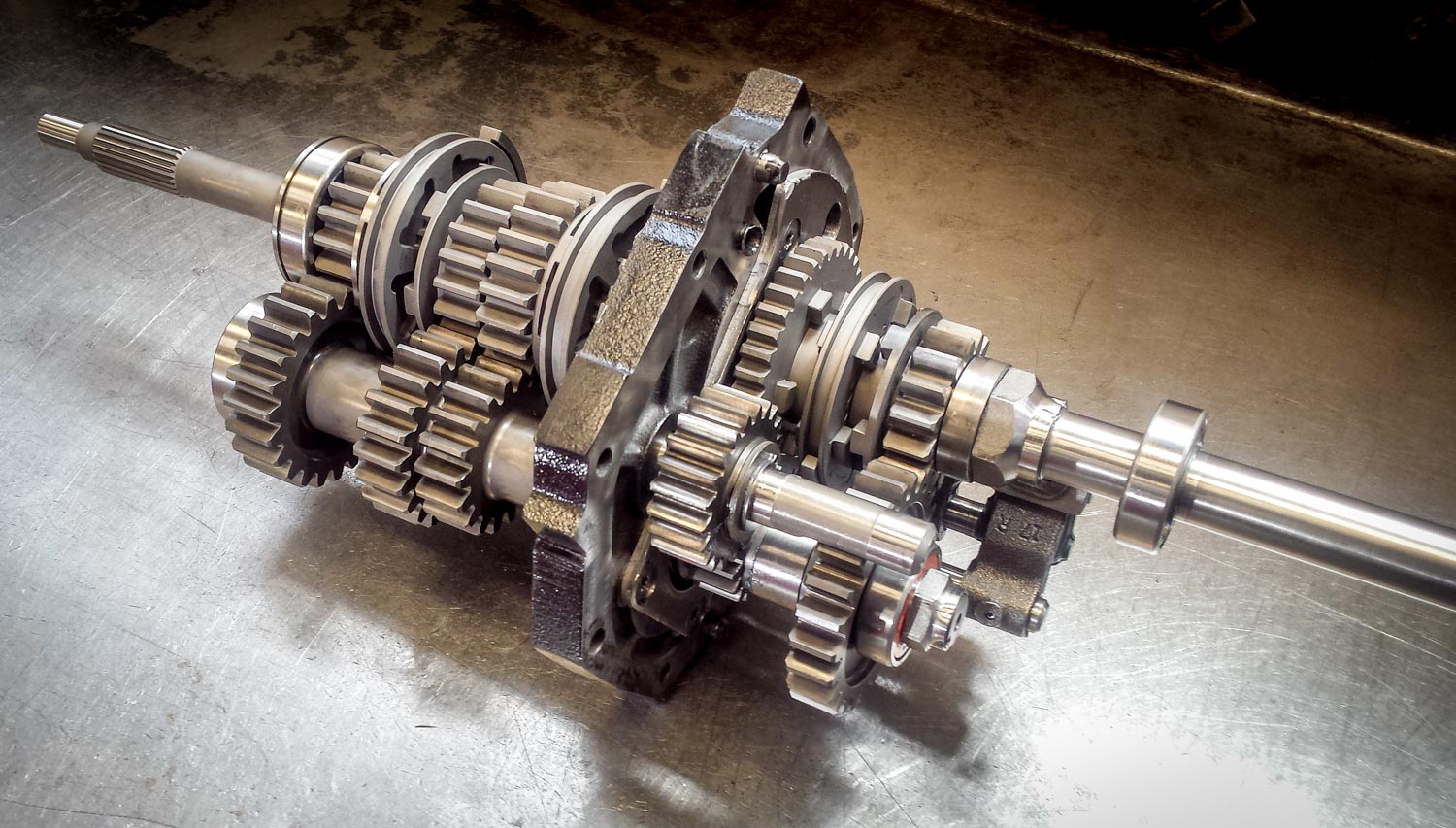 Enthusiast Essentials: avoid destruction with a WAGS DK1 straight-cut ...